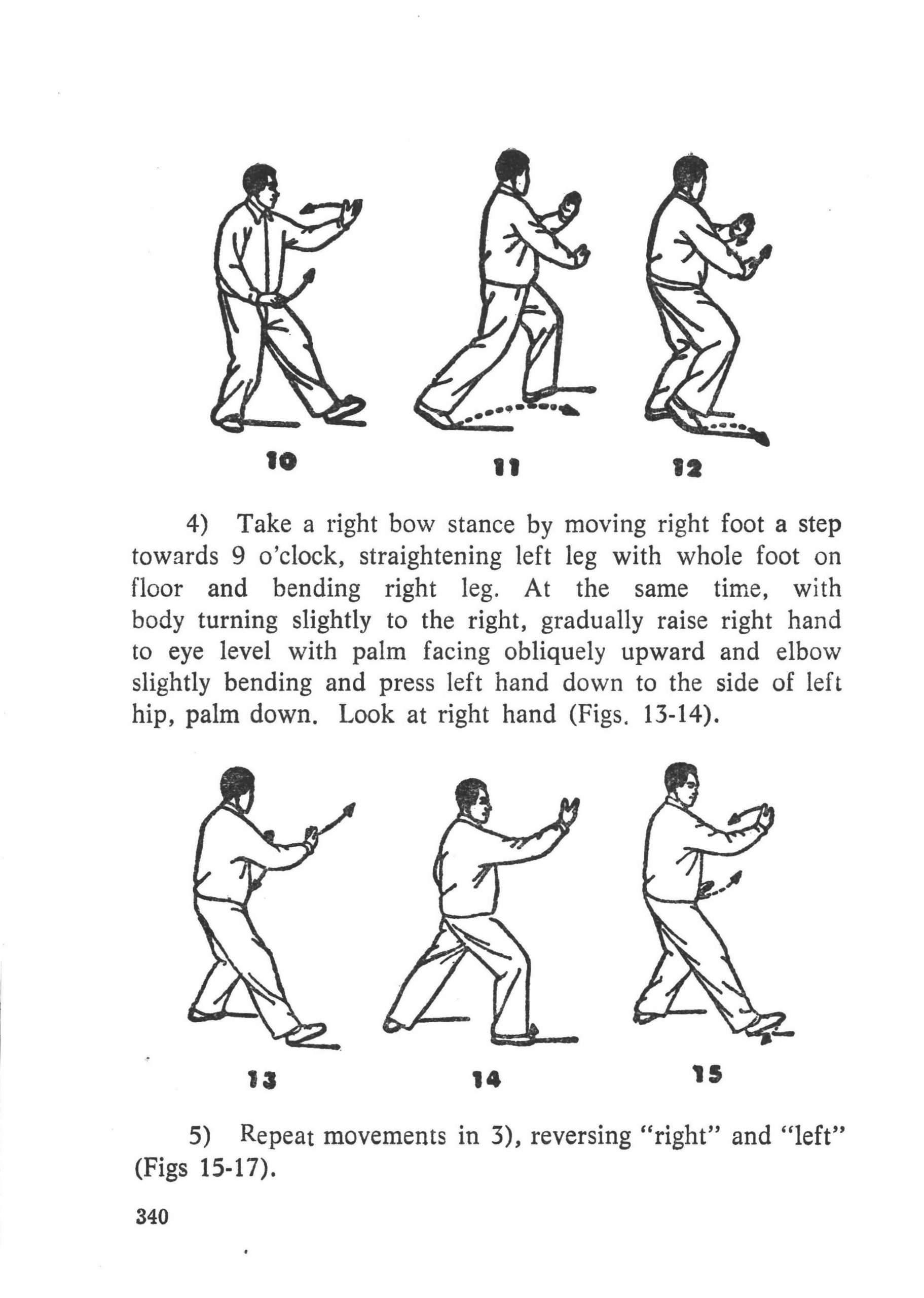Chinese Wushu by Cheng Chuanrui – JIAYO Wushu